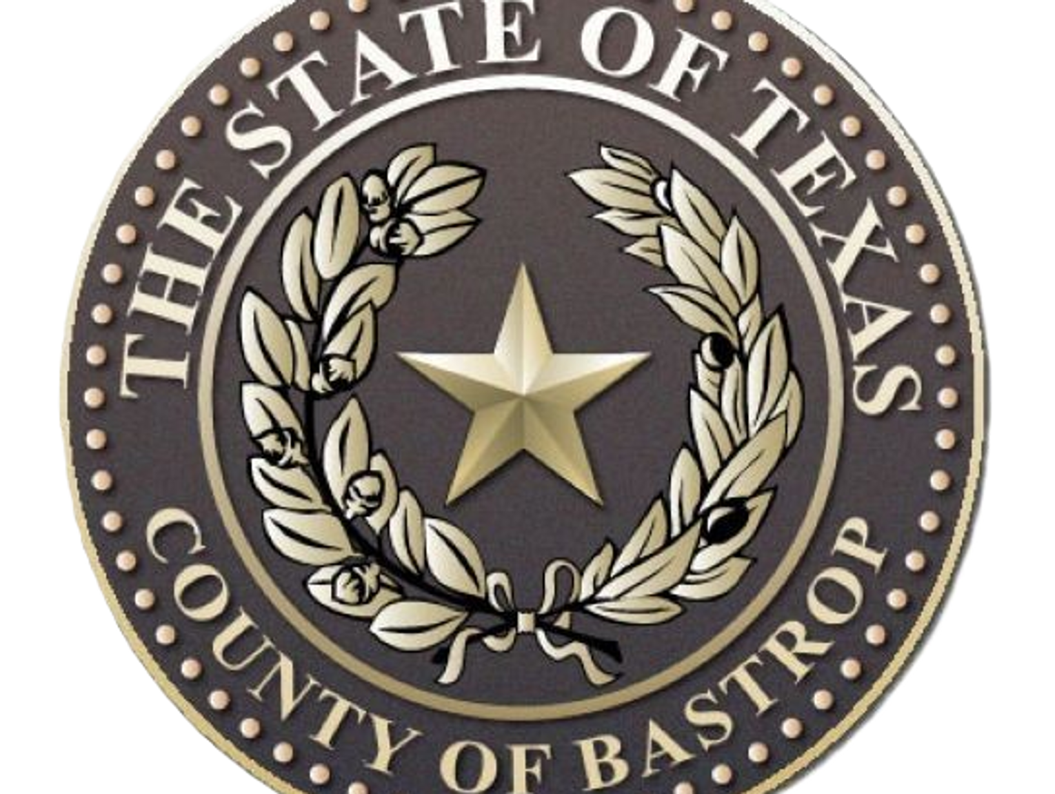 BASTROP COUNTY JAIL LOG