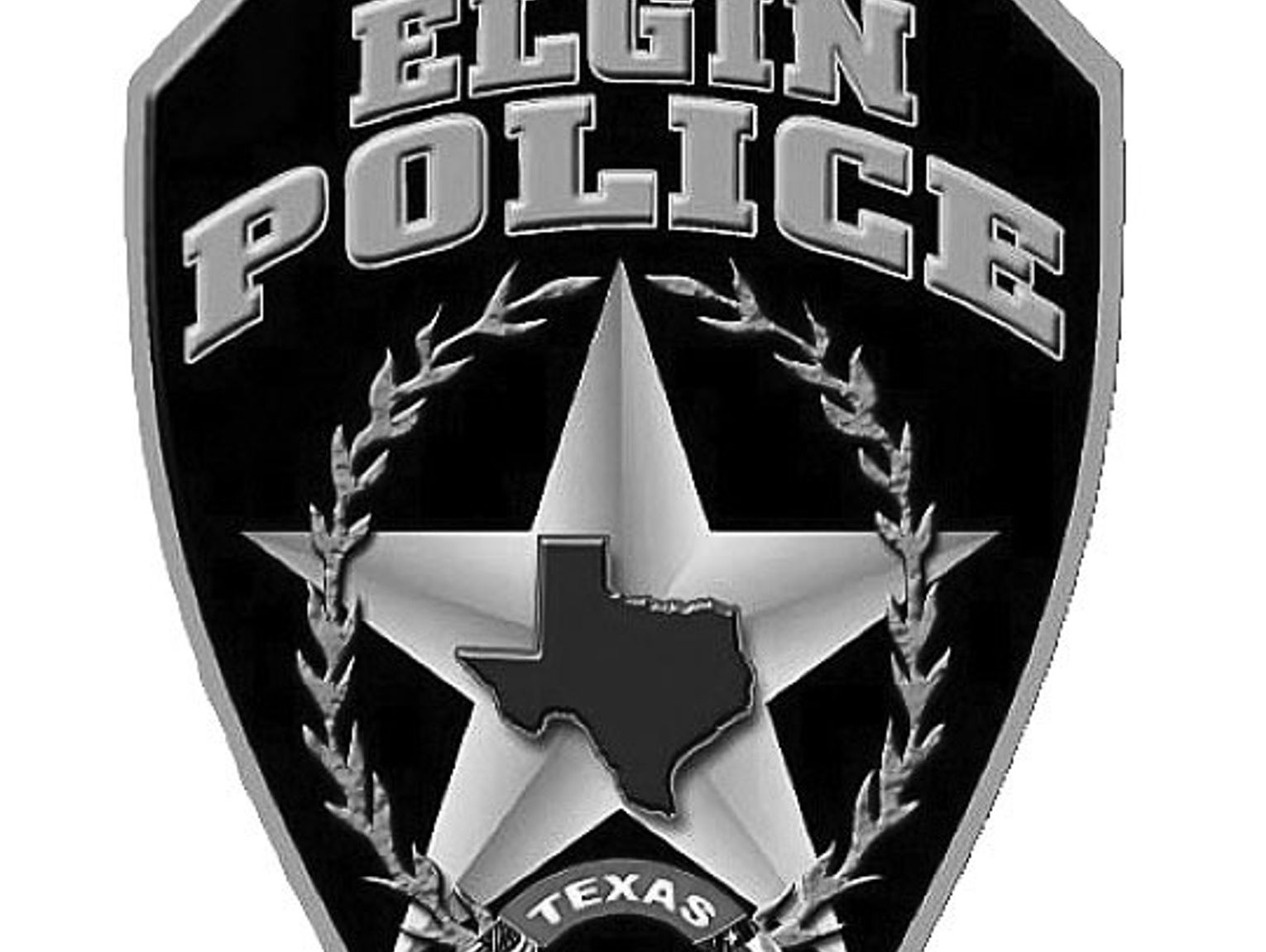 ELGIN POLICE DEPARTMENT BLOTTER