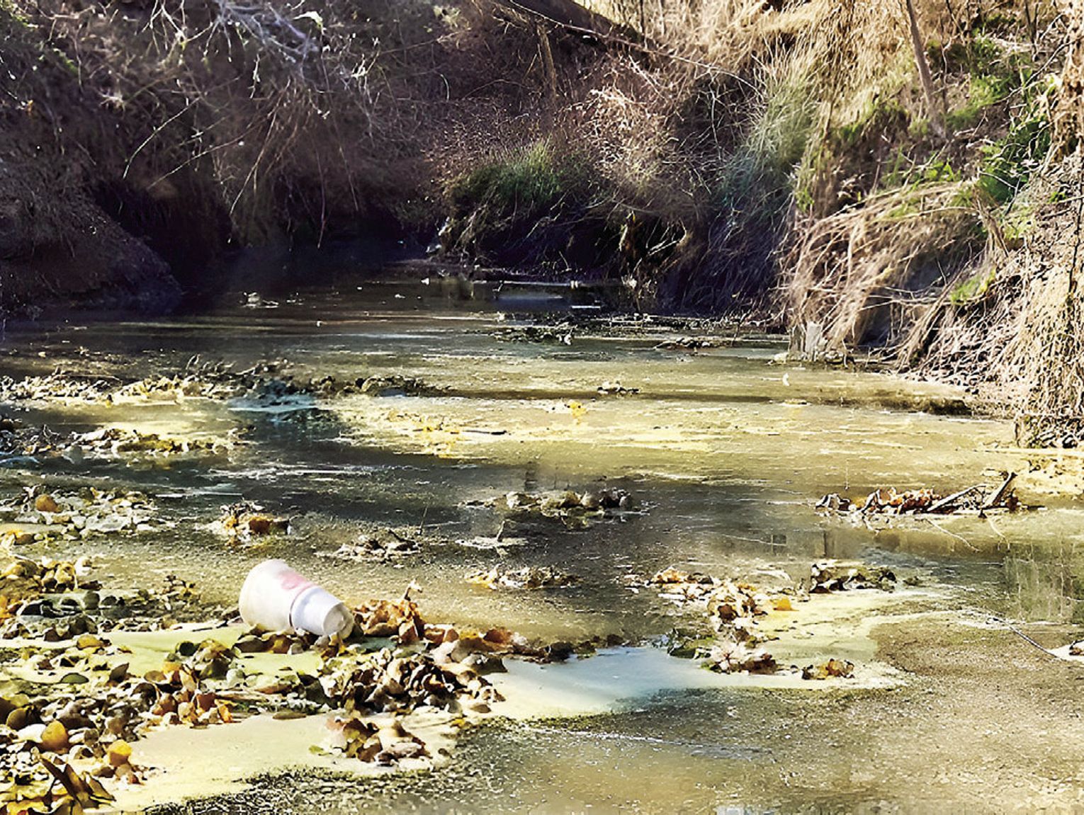 River advocates gain ground in water disputes