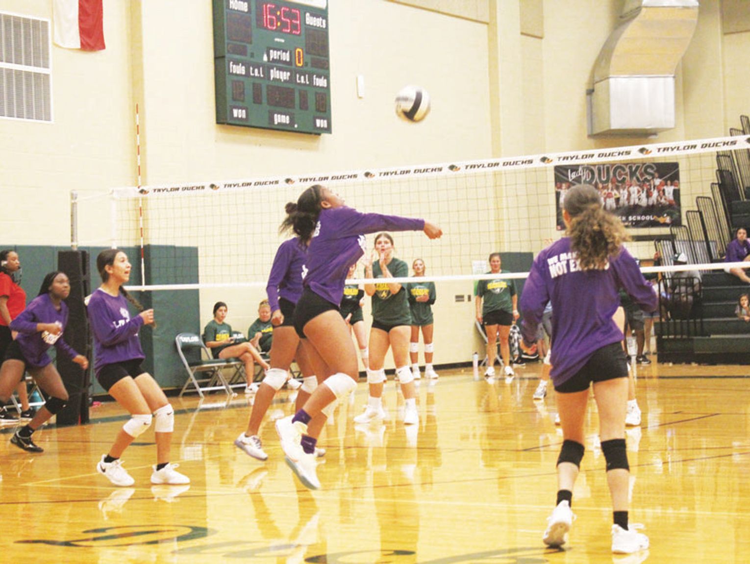 Volleyball regular season underway this week
